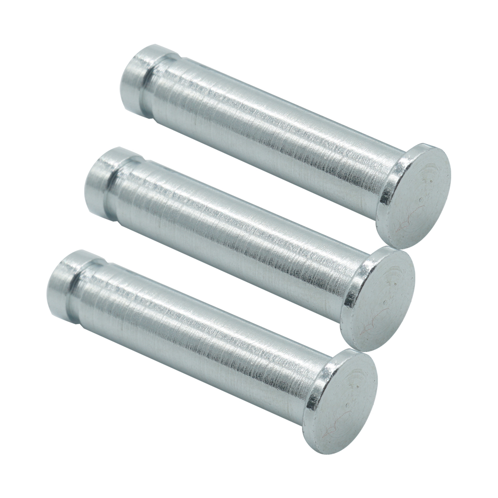 Large Head Stainless Steel Hinge Pin