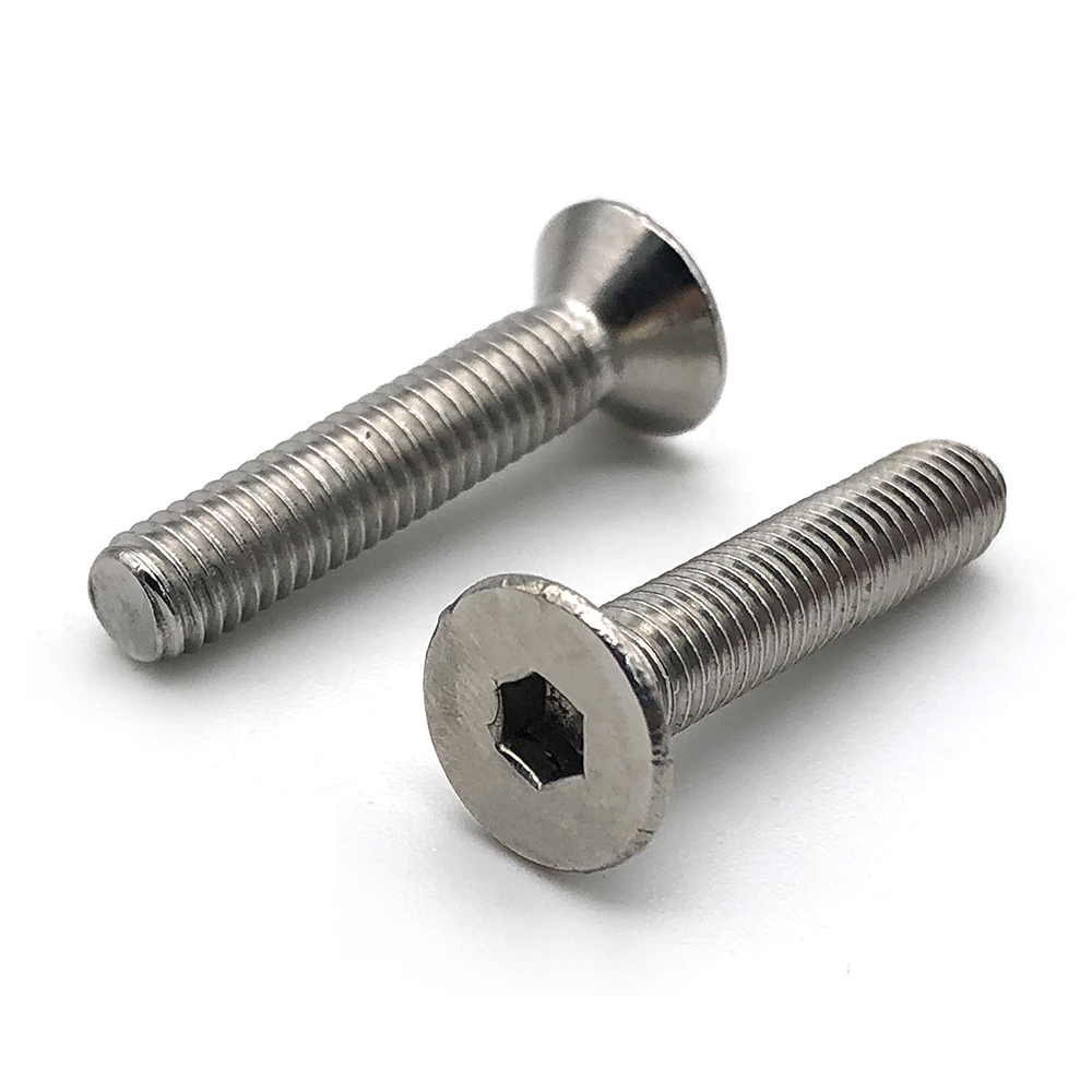 hexagon socket countersunk head screws