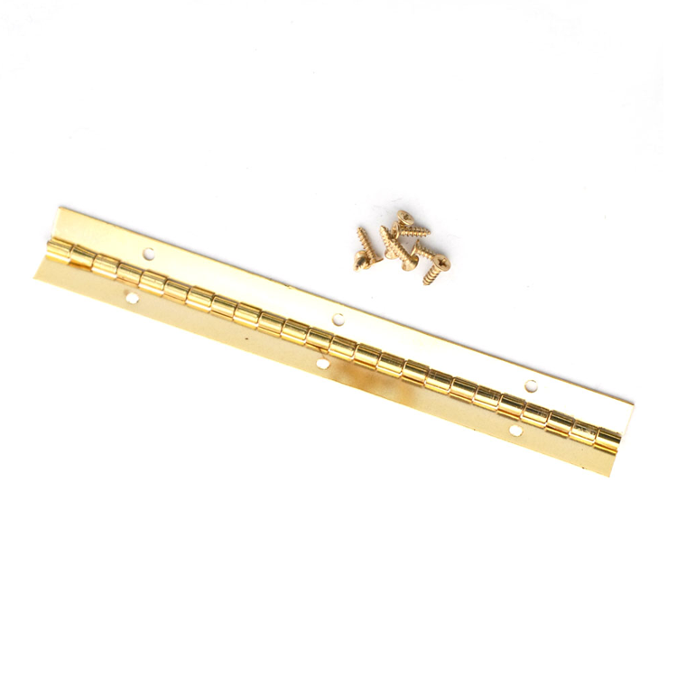 Custom Size Door Continuous Hinges