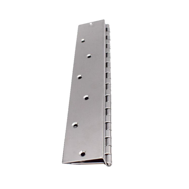 Custom Size Door Continuous Hinges